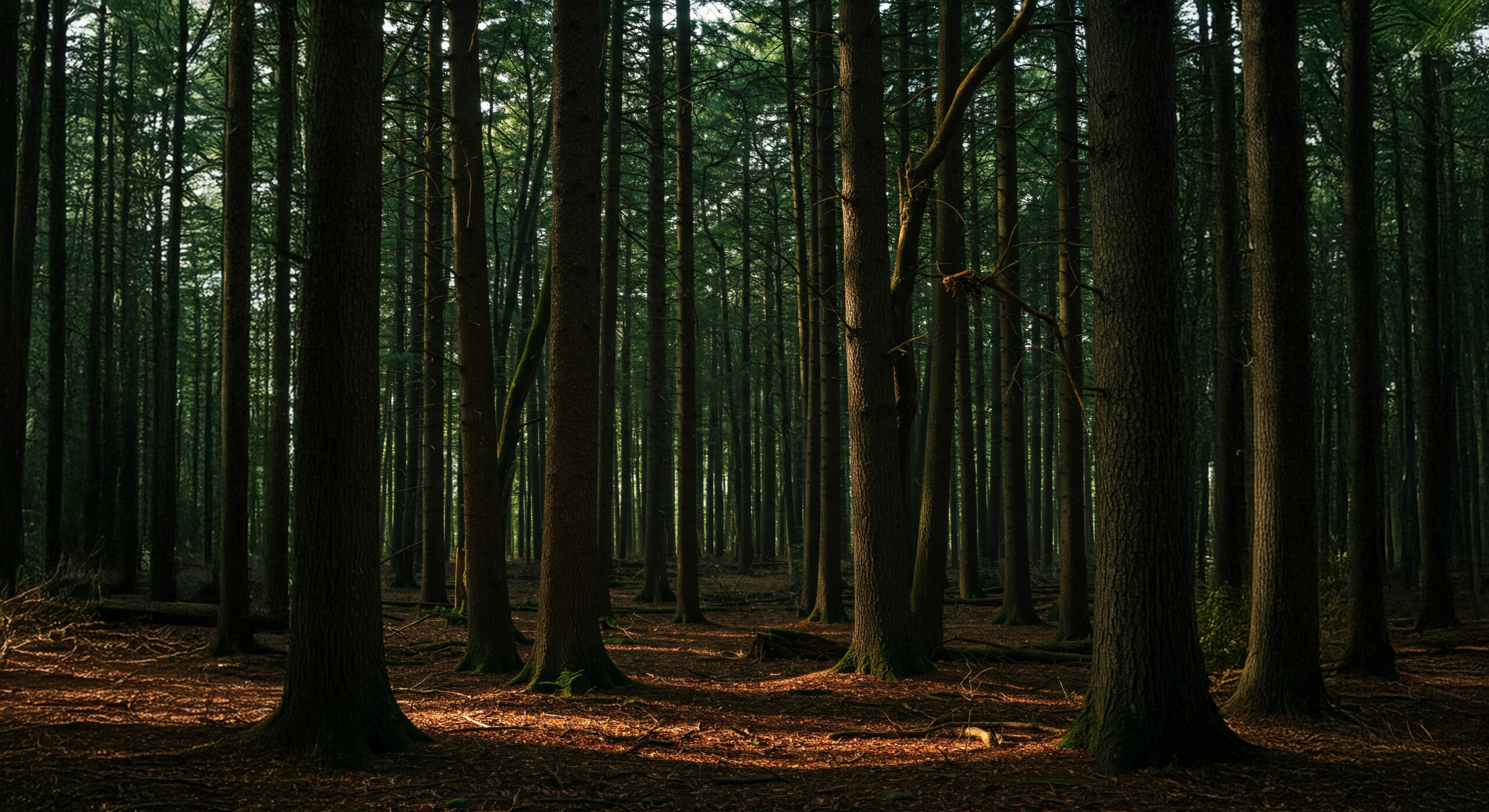 Senior Living Empower Hour - July 2024 - Adelman Firm