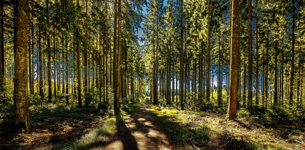 Adelman Firm Announces New Brand - Adelman Firm